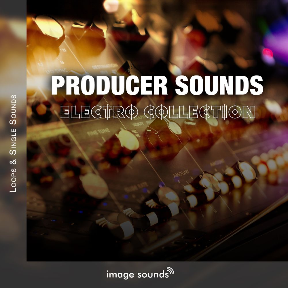 Producer Sounds - Electro Collection Sample Pack | LANDR Samples