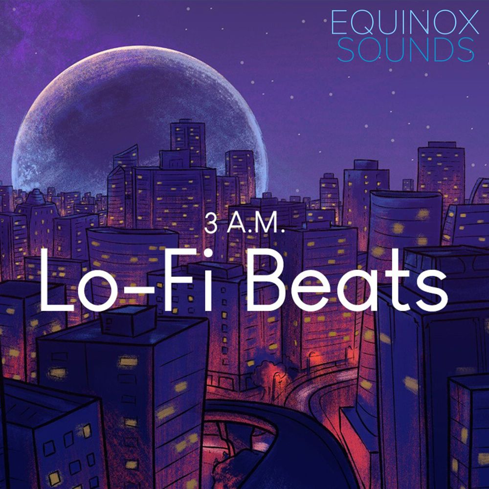 3 A.M. Lo-Fi Beats Sample Pack | LANDR Samples