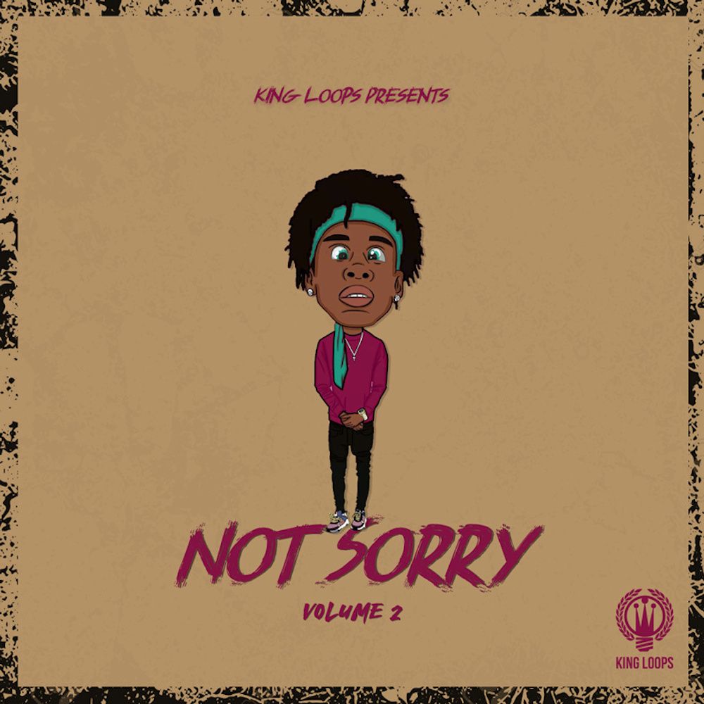 Not Sorry Vol 2 Sample Pack | LANDR Samples