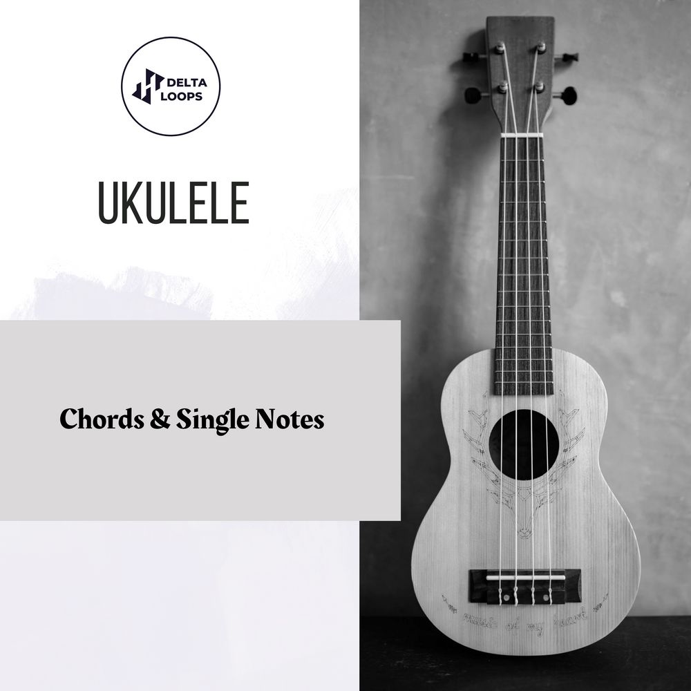 Ukulele - Chords & Single Notes Sample Pack | LANDR Samples