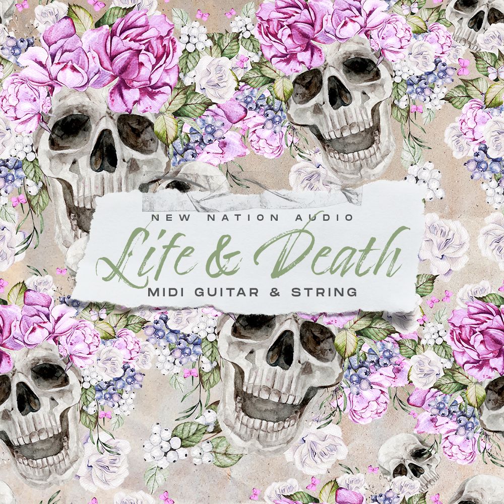 Life & Death Collection Sample Pack | LANDR Samples