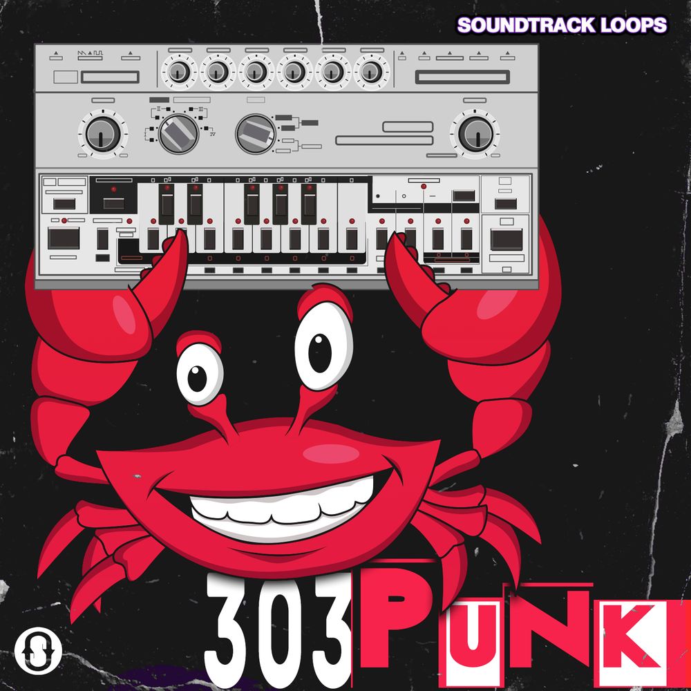 303 Punk Sample Pack | LANDR Samples