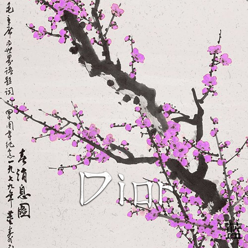 Dior Sample Pack | LANDR Samples