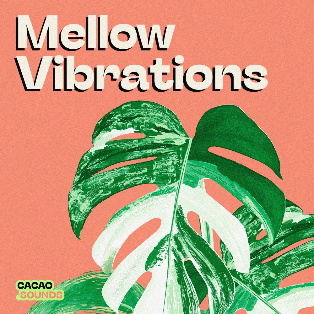 Mellow Vibrations Sample Pack | LANDR Samples