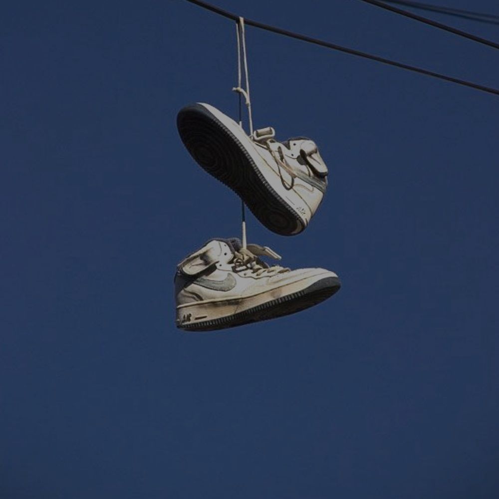 Silence Sample Pack | LANDR Samples