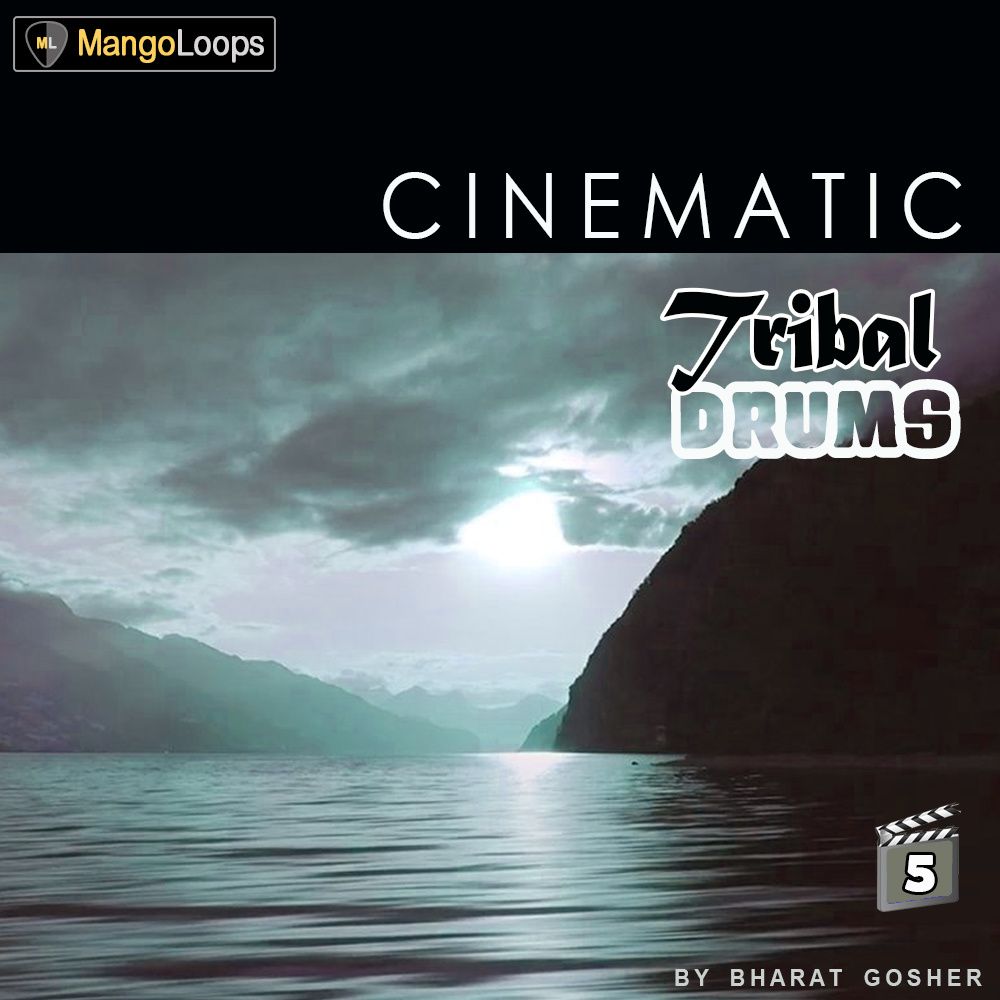 Cinematic Tribal Drums Vol 5 Sample Pack | LANDR Samples