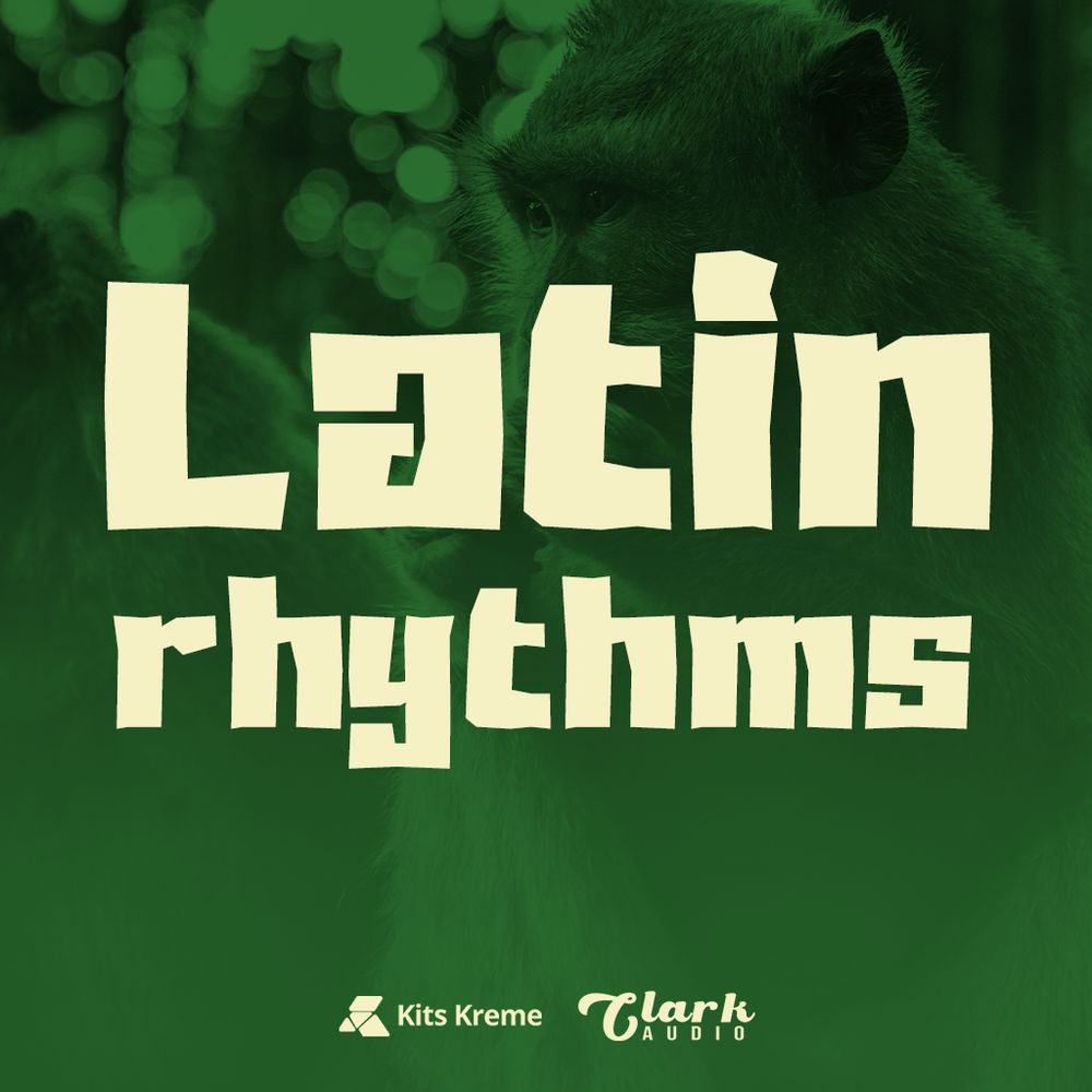 Latin Rhythms Sample Pack | LANDR Samples