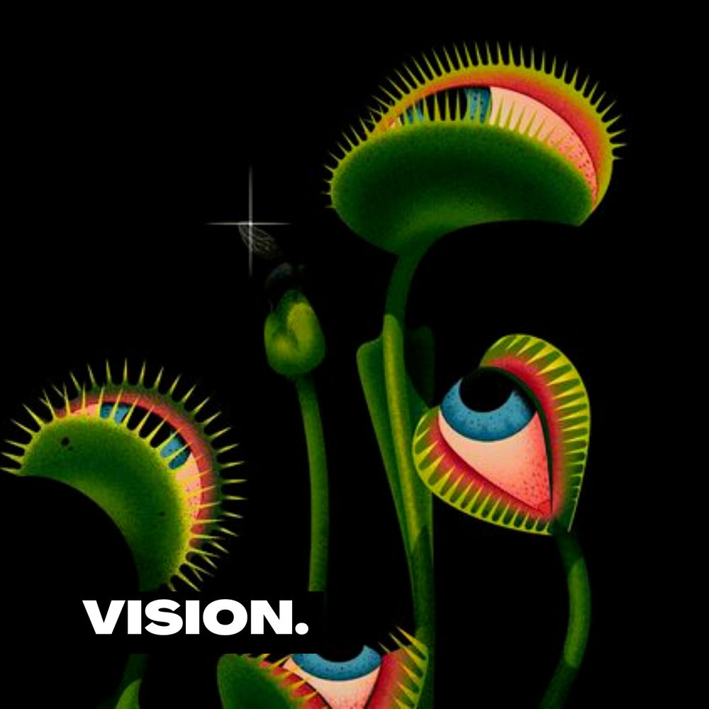 Vision Sample Pack | LANDR Samples