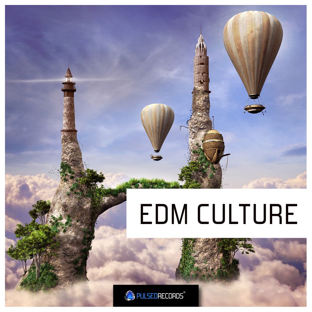 EDM Culture Sample Pack | LANDR Samples