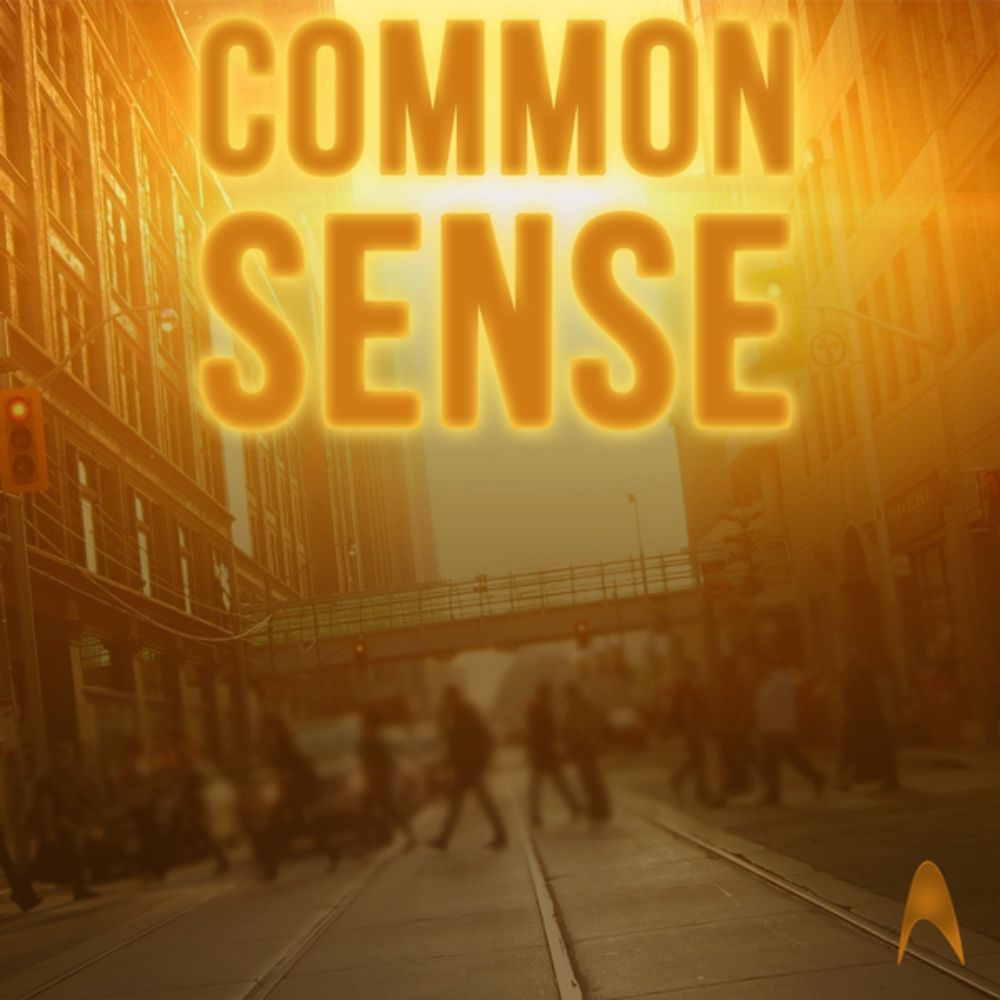 Common Sense Sample Pack | LANDR Samples