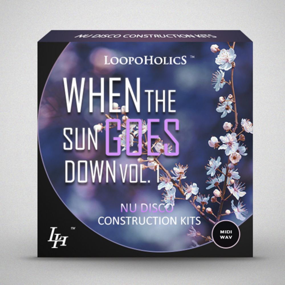 When The Sun Goes Down Vol 1: Nu Disco Sample Pack | LANDR Samples