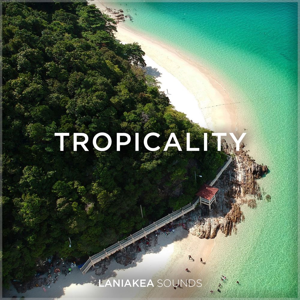 Tropicality Sample Pack | LANDR Samples