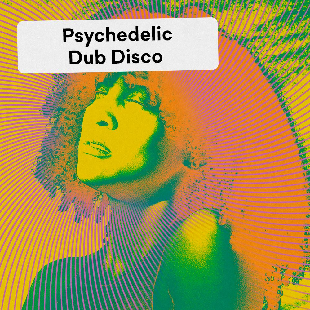 Psychedelic Dub Disco Sample Pack | LANDR Samples