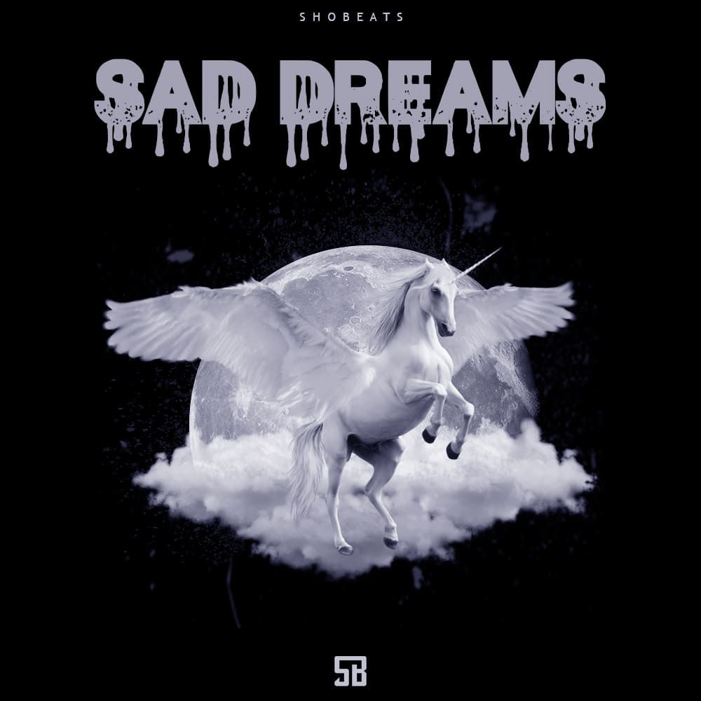 Sad Dreams Sample Pack | LANDR Samples