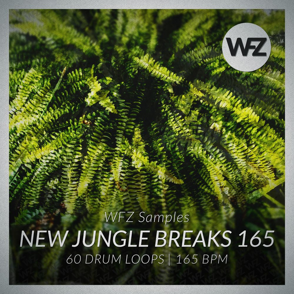 New Jungle Breaks 165 Sample Pack | LANDR Samples