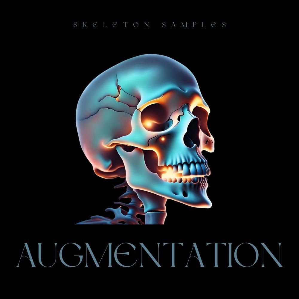 Augmentation [Melodic Techno] Sample Pack | LANDR Samples
