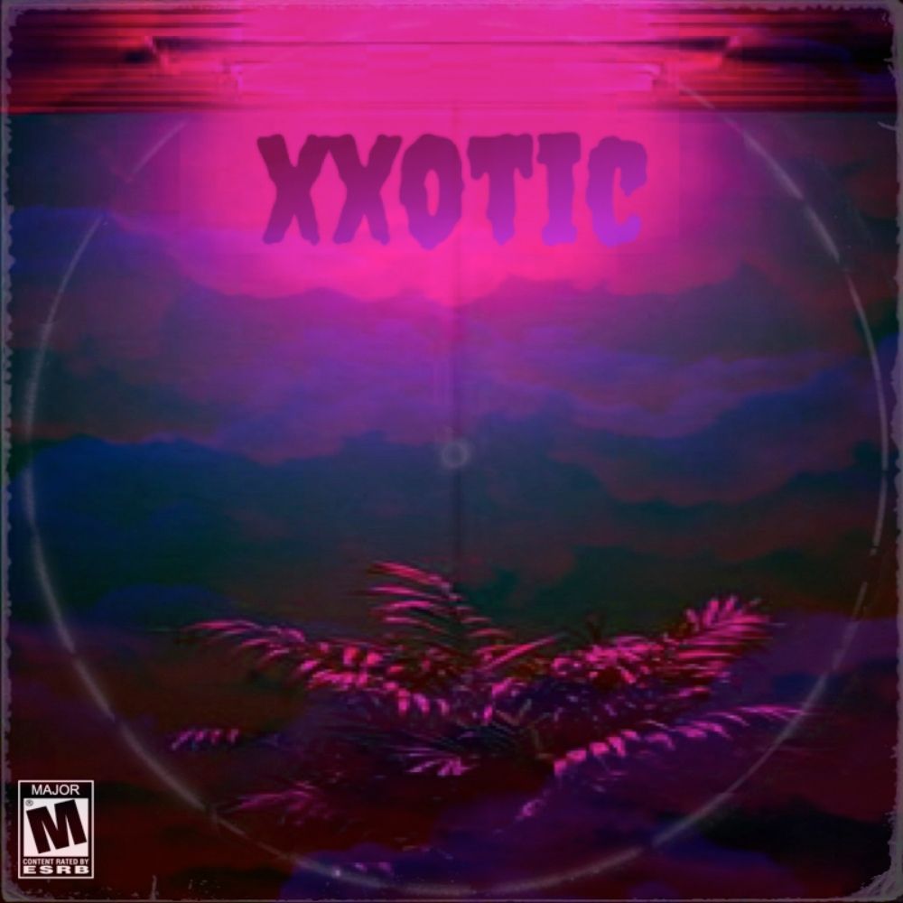 XXotic Sample Pack | LANDR Samples