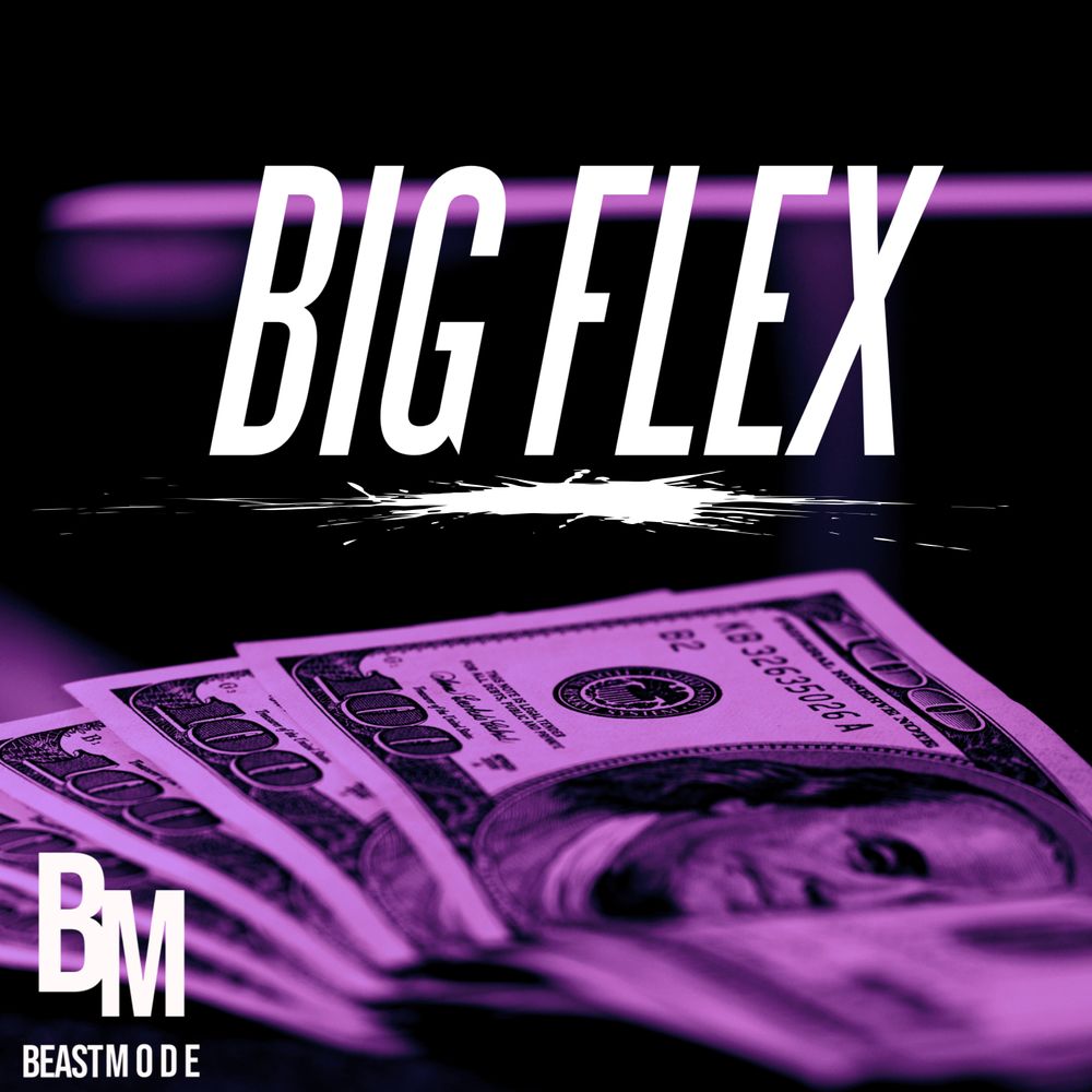 Big Flex Sample Pack | LANDR Samples