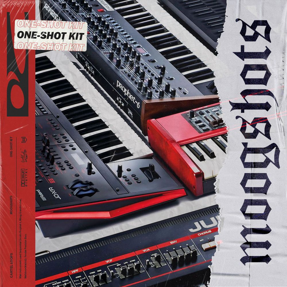 Moog Shots (One-Shot Kit) Sample Pack | LANDR Samples