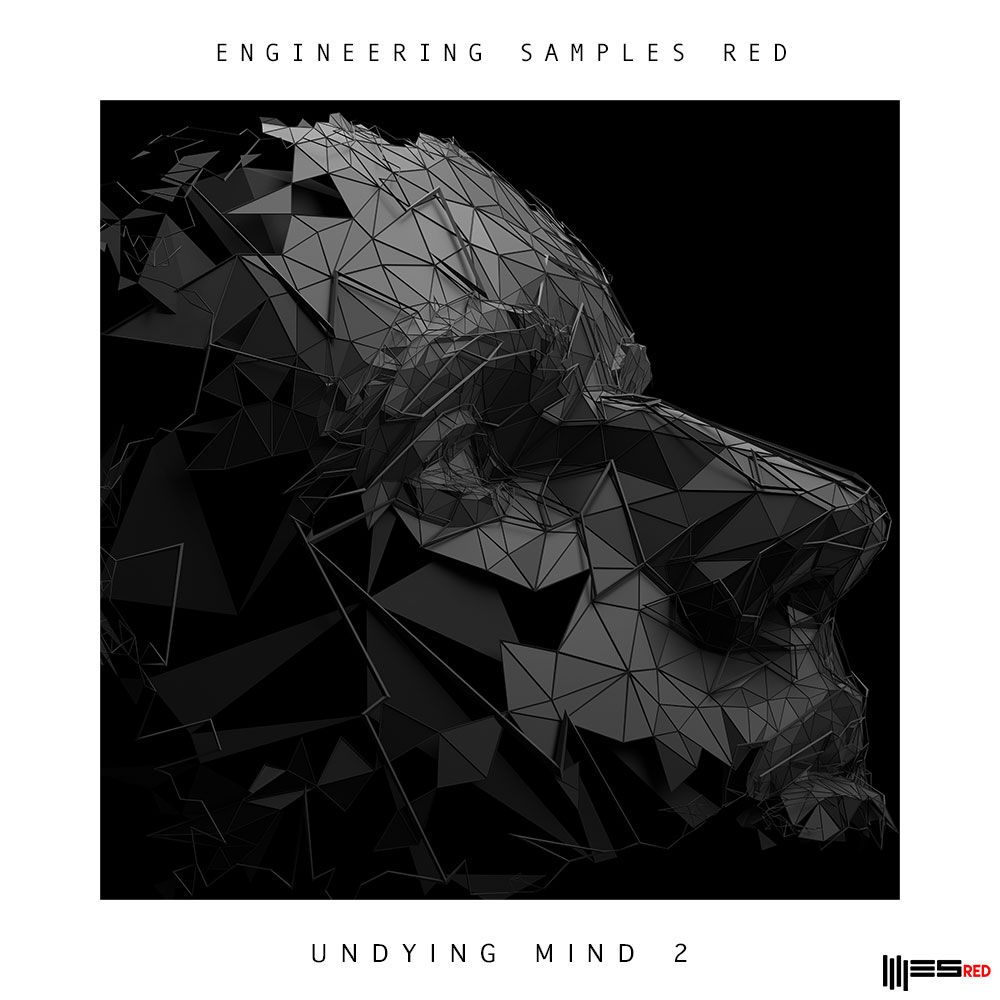 Undying Mind 2 Sample Pack | LANDR Samples