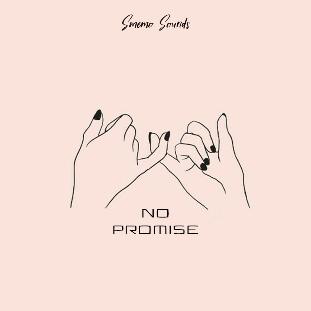 NO PROMISE Sample Pack | LANDR Samples