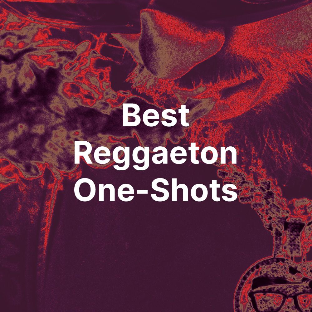 Best Reggaeton One Shots - Sample Pack | LANDR Samples