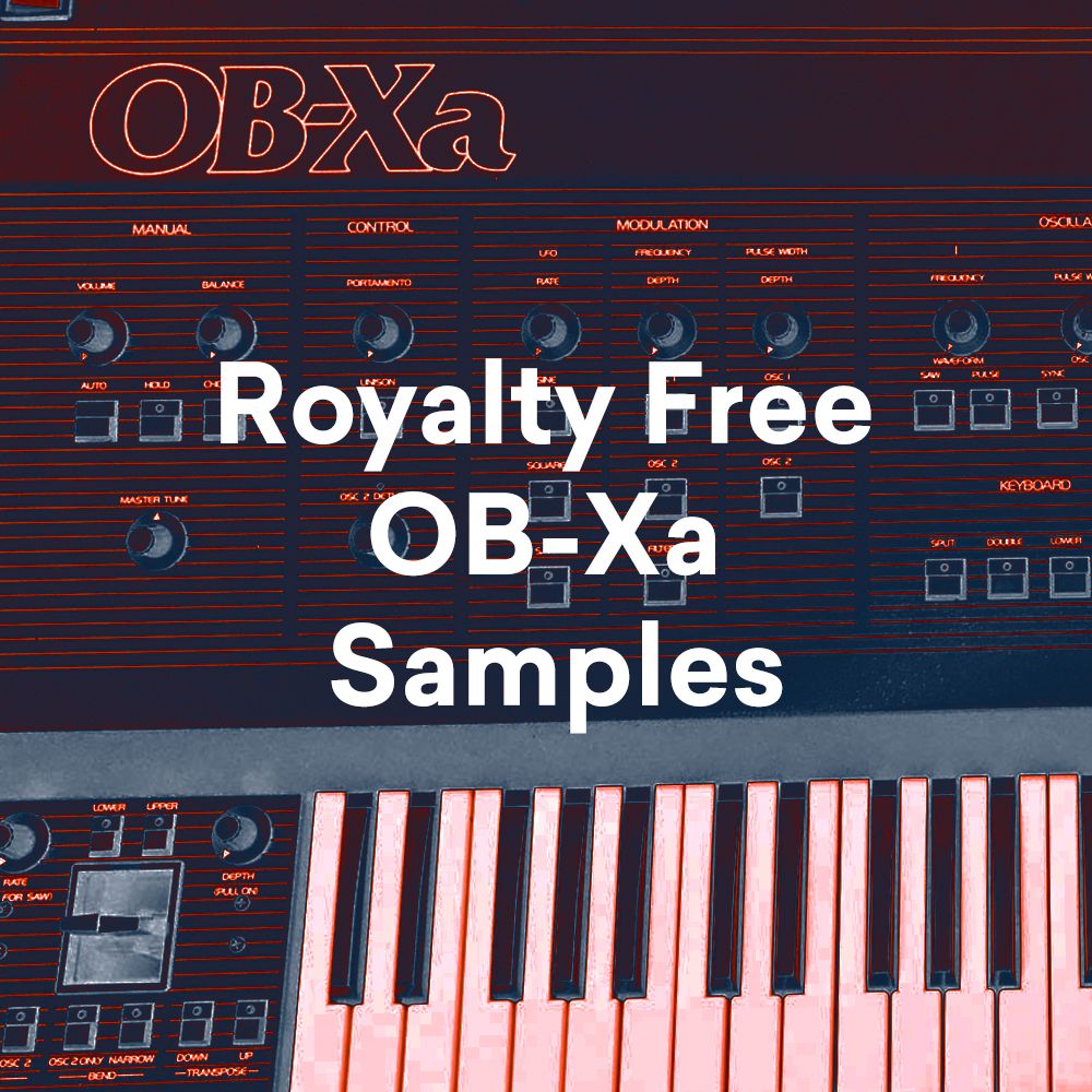 Royalty Free OB-Xa Samples - Sample Pack | LANDR Samples