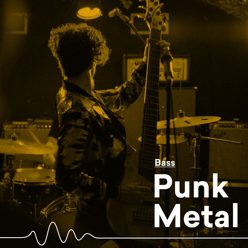 Royalty Free Punk Metal Samples | LANDR Samples