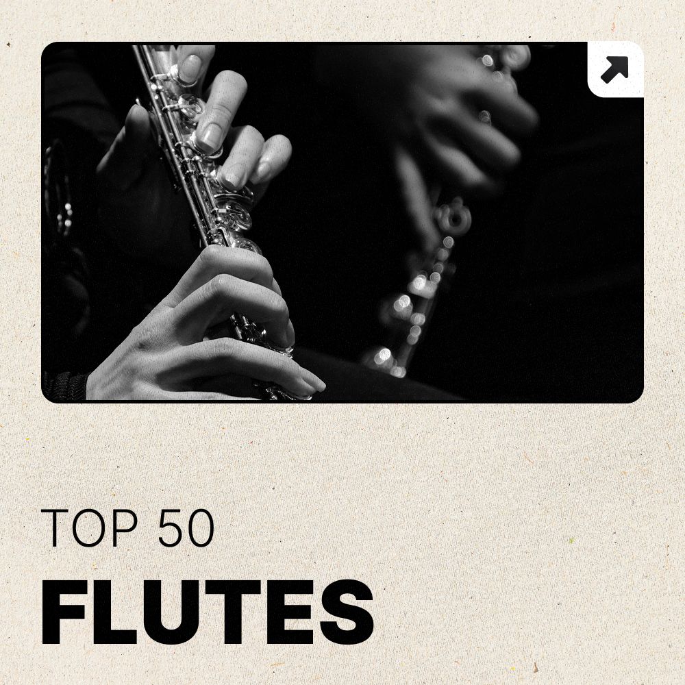 Flutes Top 50 - Sample Pack | LANDR Samples