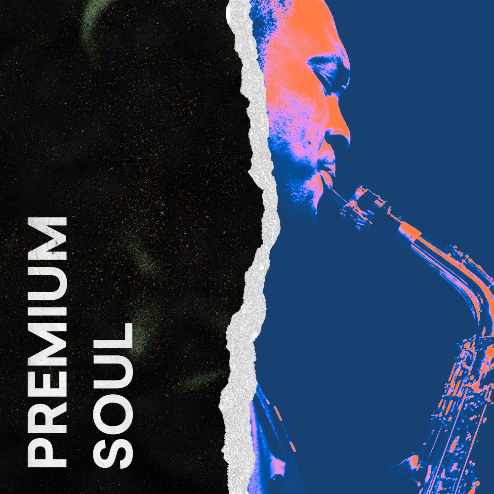 Premium Soul Samples - Sample Pack | LANDR Samples