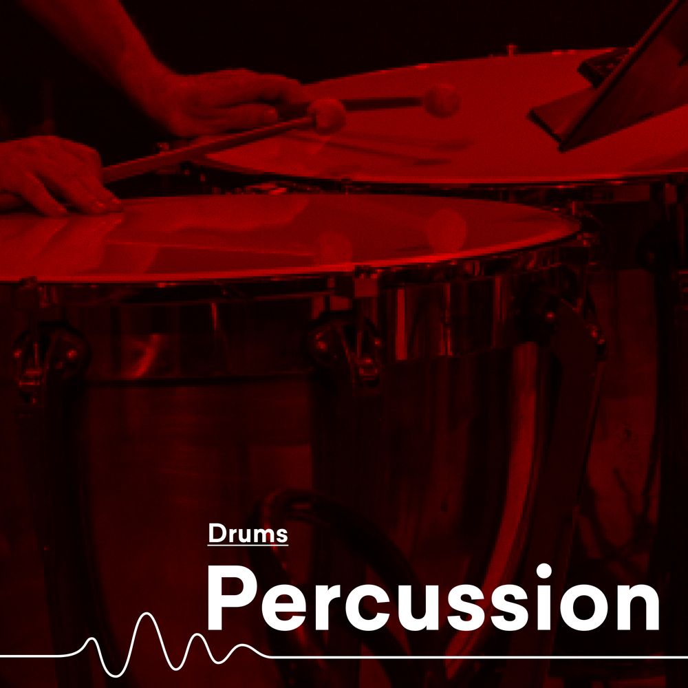 Royalty Free Percussion Samples | LANDR Samples