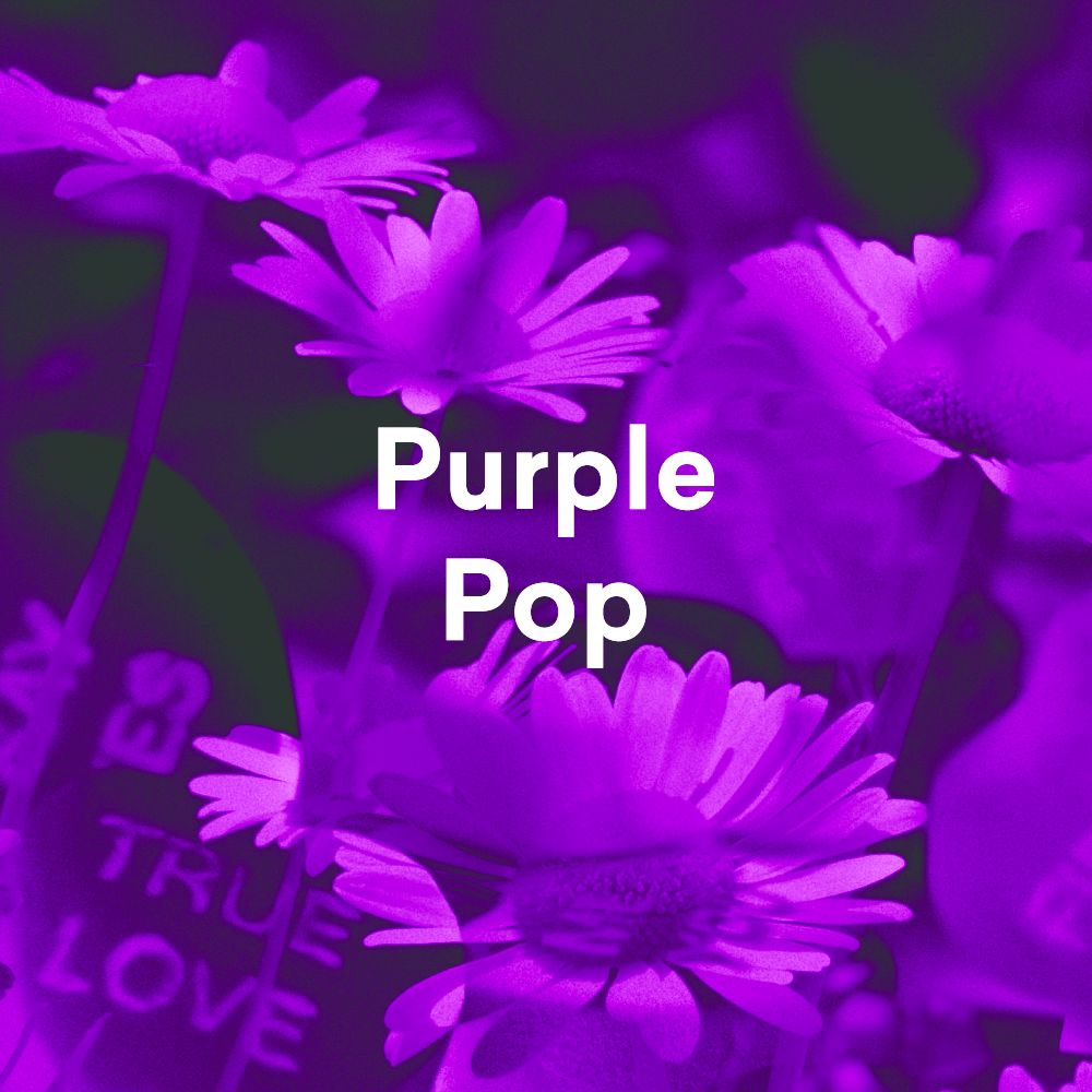 Purple Pop - Sample Pack | LANDR Samples