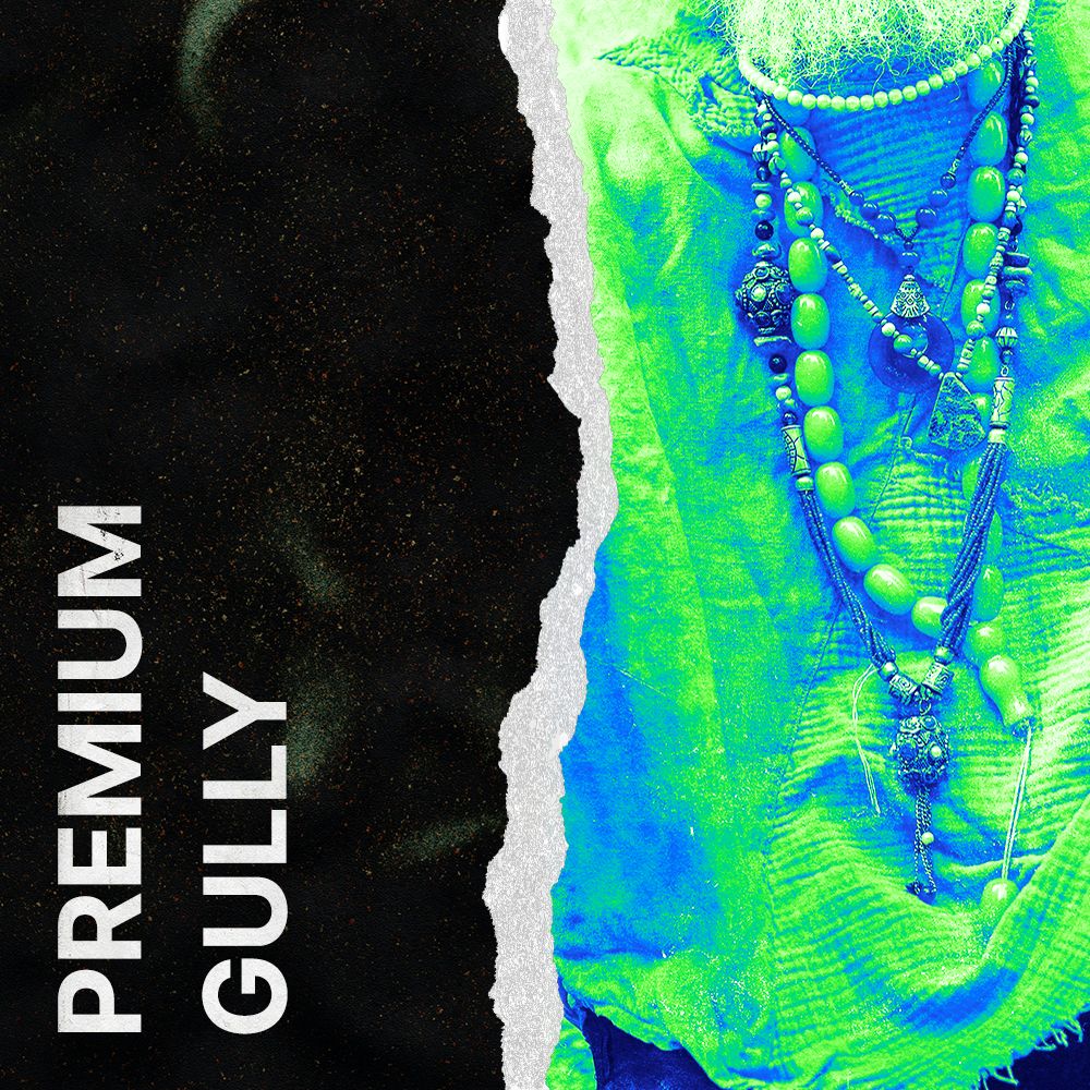 Premium Gully Samples - Sample Pack | LANDR Samples