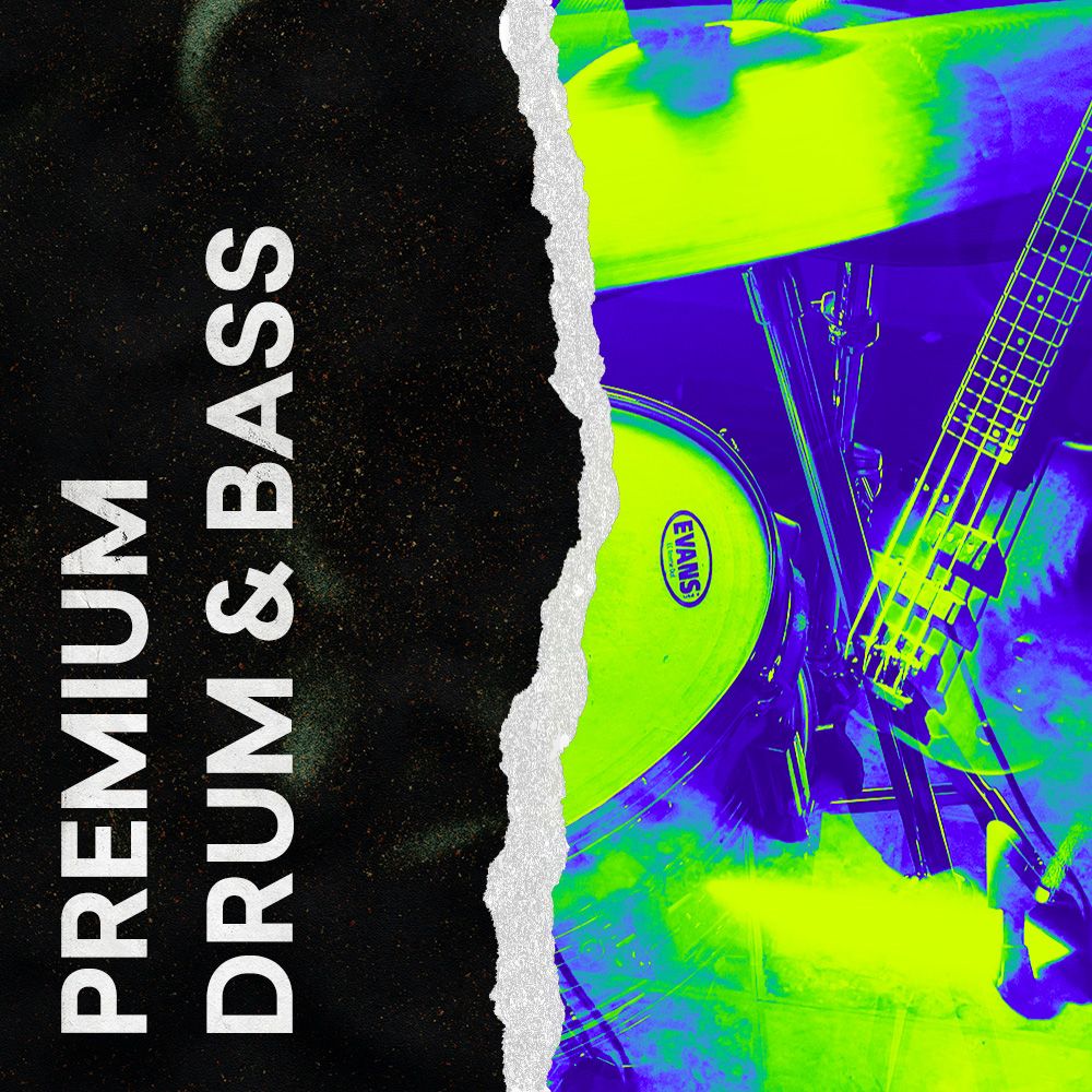 Premium Drum & Bass Samples - Sample Pack | LANDR Samples