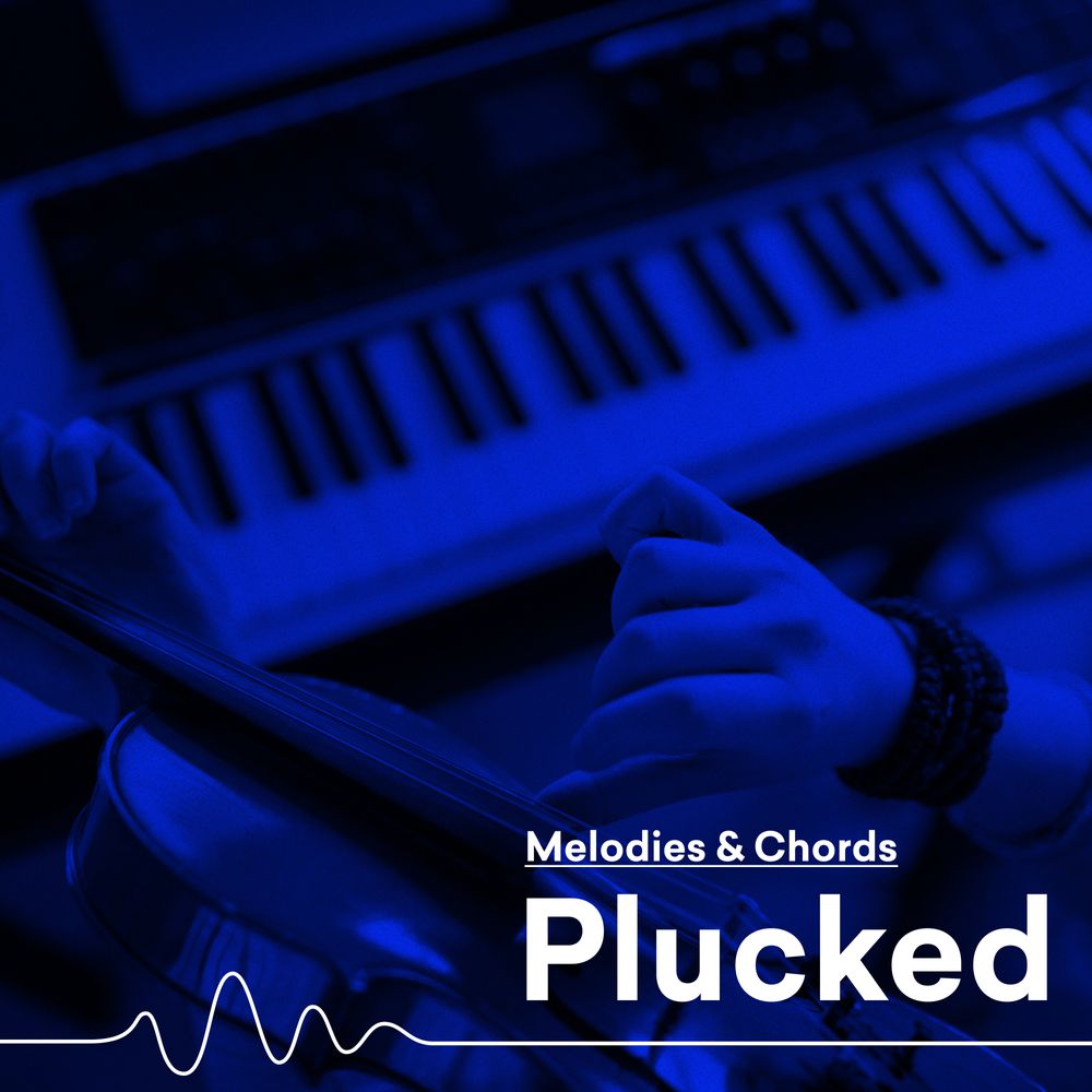 Royalty Free Plucked Samples | LANDR Samples
