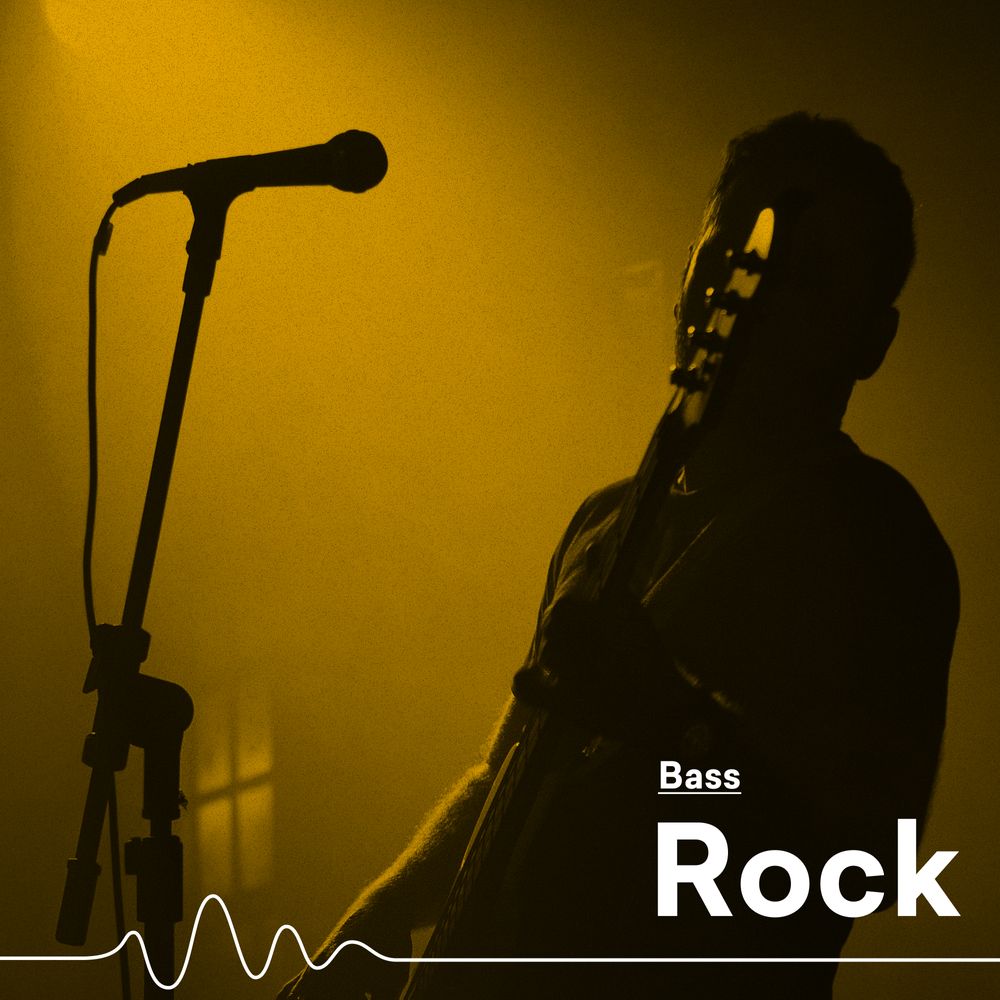 Royalty Free Bass Samples | LANDR Samples