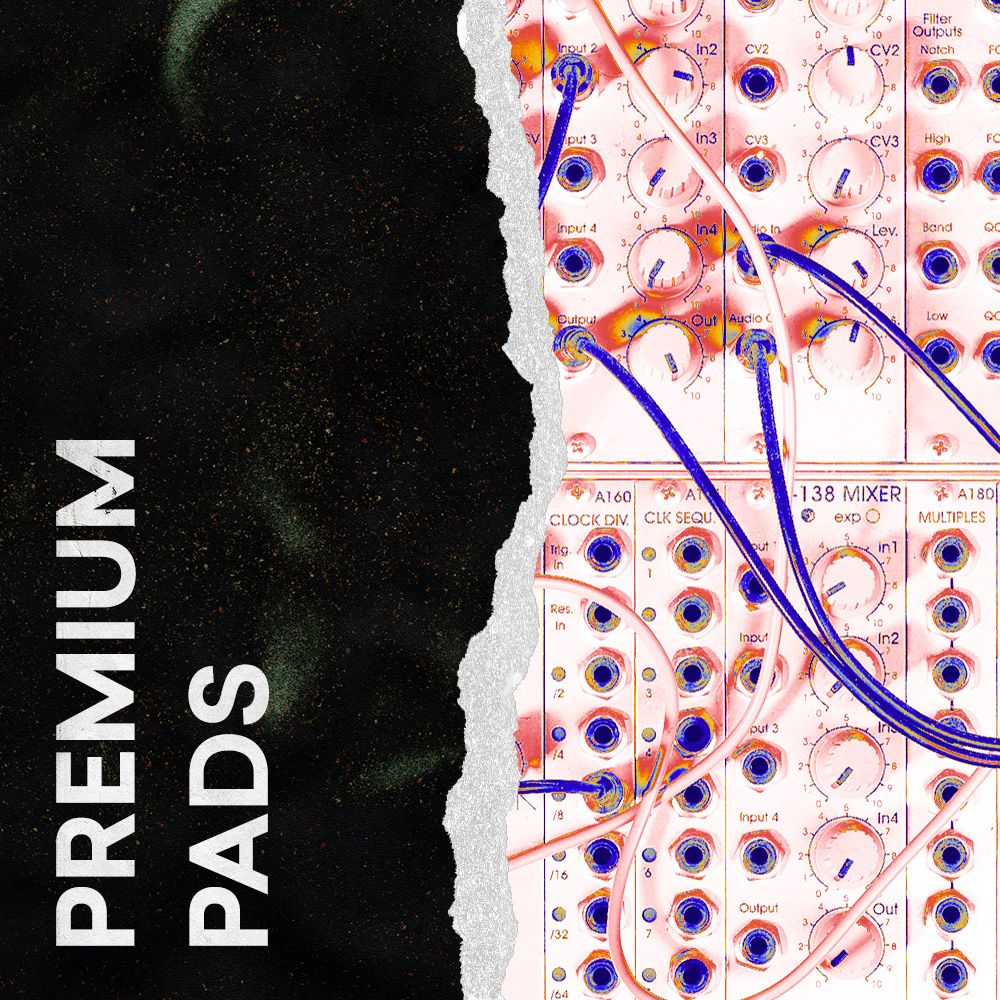 Premium Pads Samples - Sample Pack | LANDR Samples