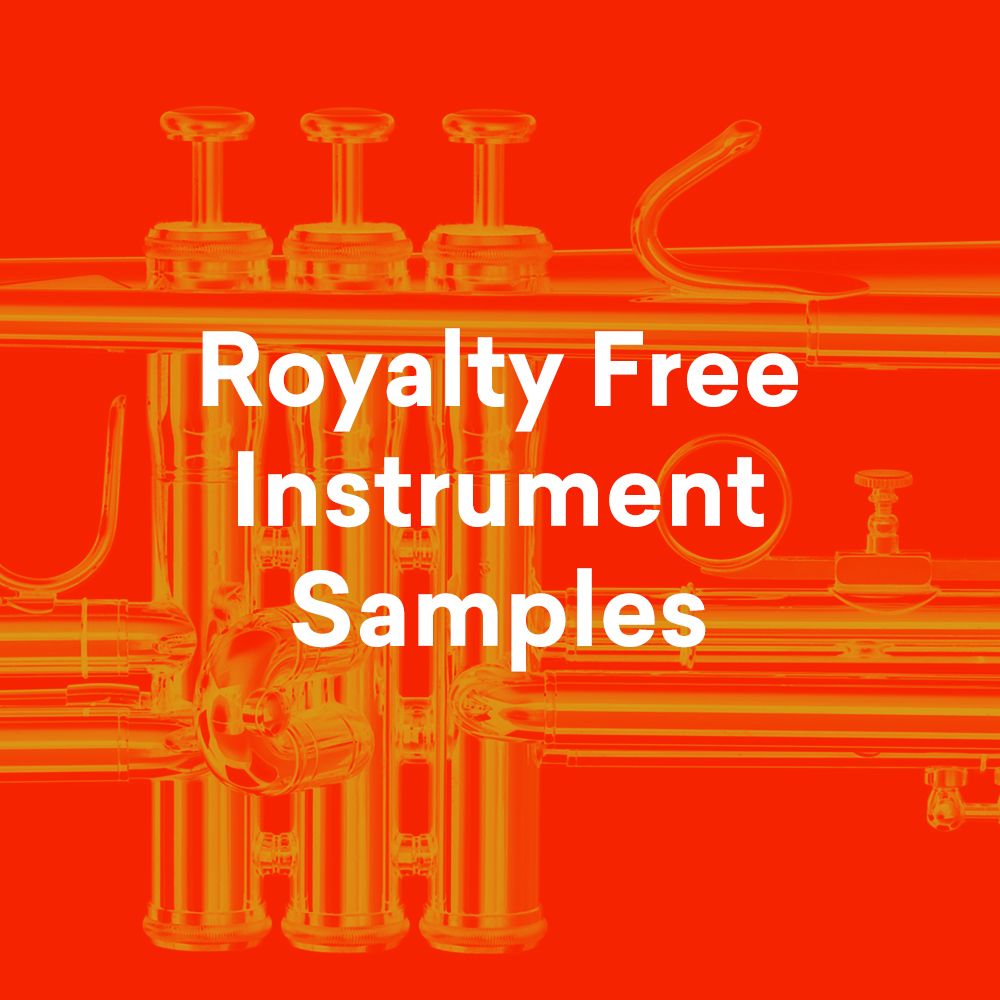 Royalty Free Instrument Samples - Sample Pack | LANDR Samples
