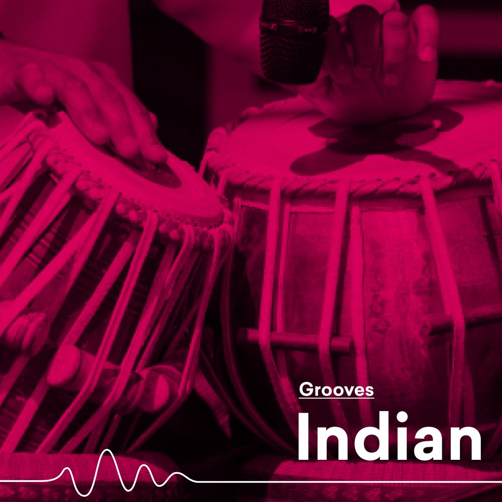 Royalty Free Indian Grooves Samples | LANDR Samples