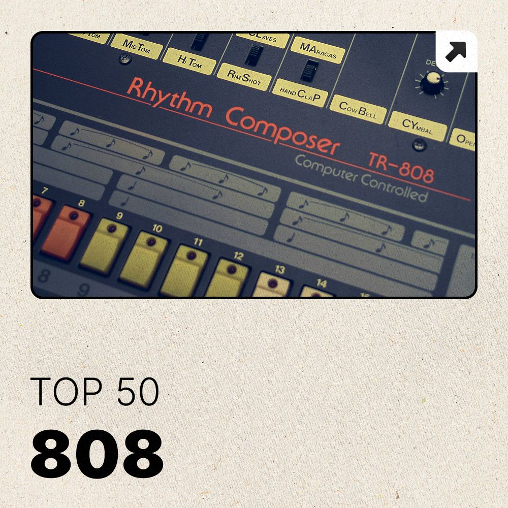 808 Top 50 - Top Charts | LANDR Samples