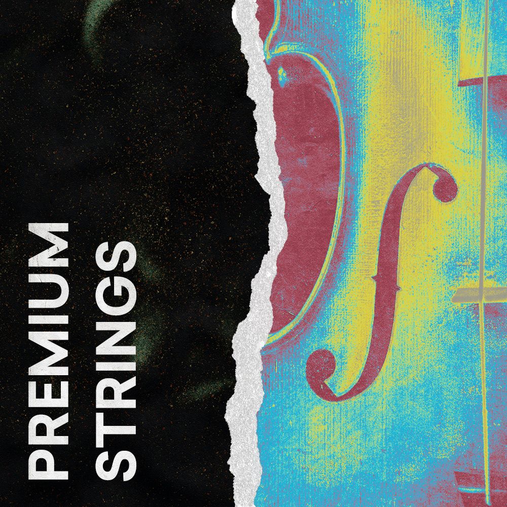Premium Strings Samples - Sample Pack | LANDR Samples