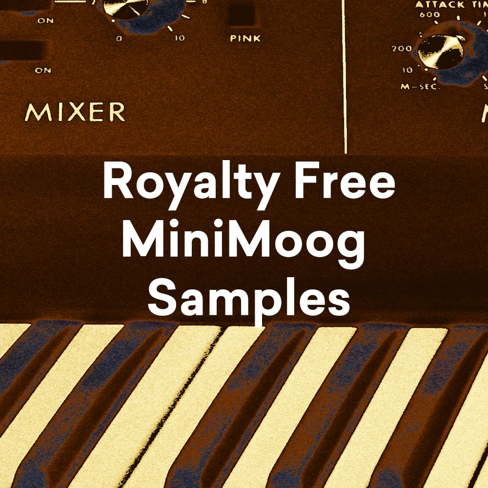 Royalty Free MiniMoog Samples - Sample Pack | LANDR Samples