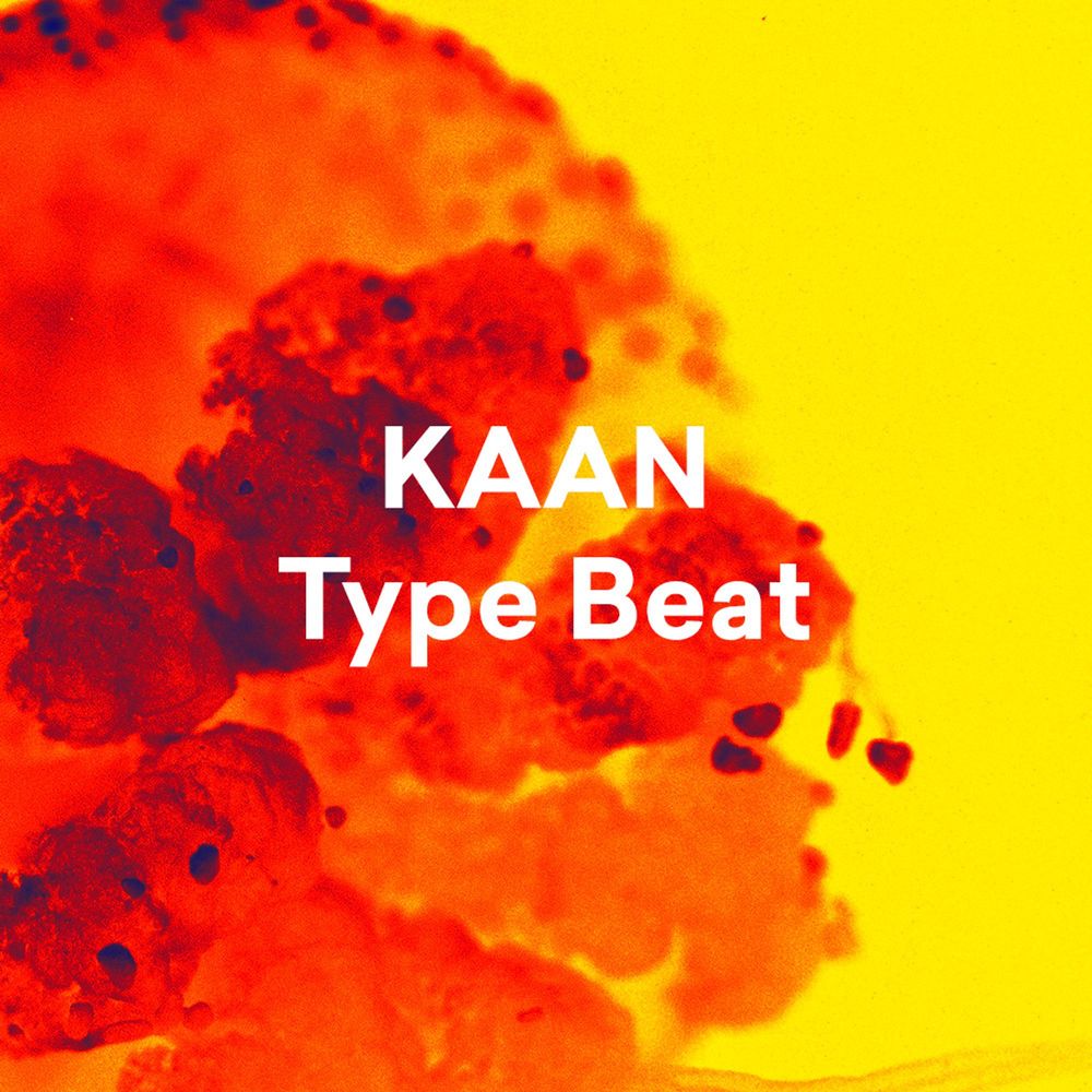 KAAN Type Beat - Sample Pack | LANDR Samples