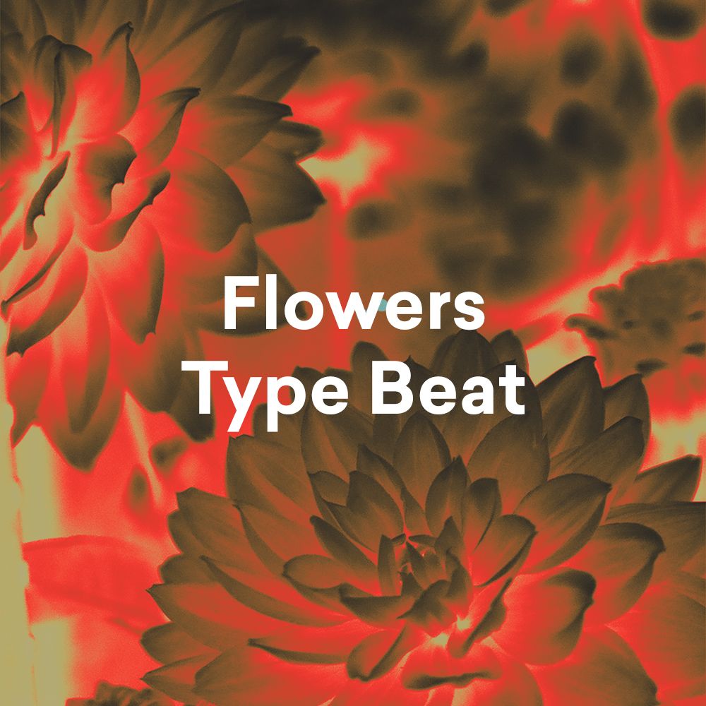 Flowers Type Beat - Sample Pack | LANDR Samples