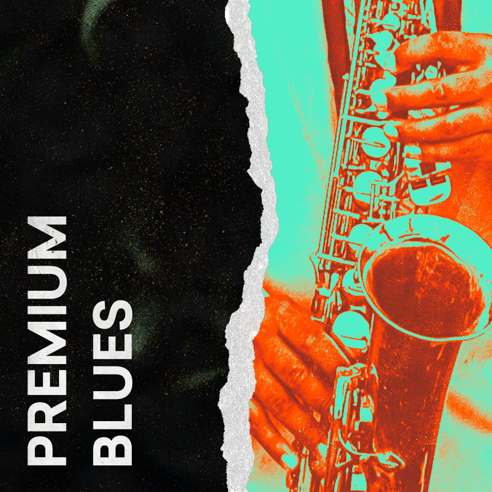 Premium Blues Samples - Sample Pack | LANDR Samples